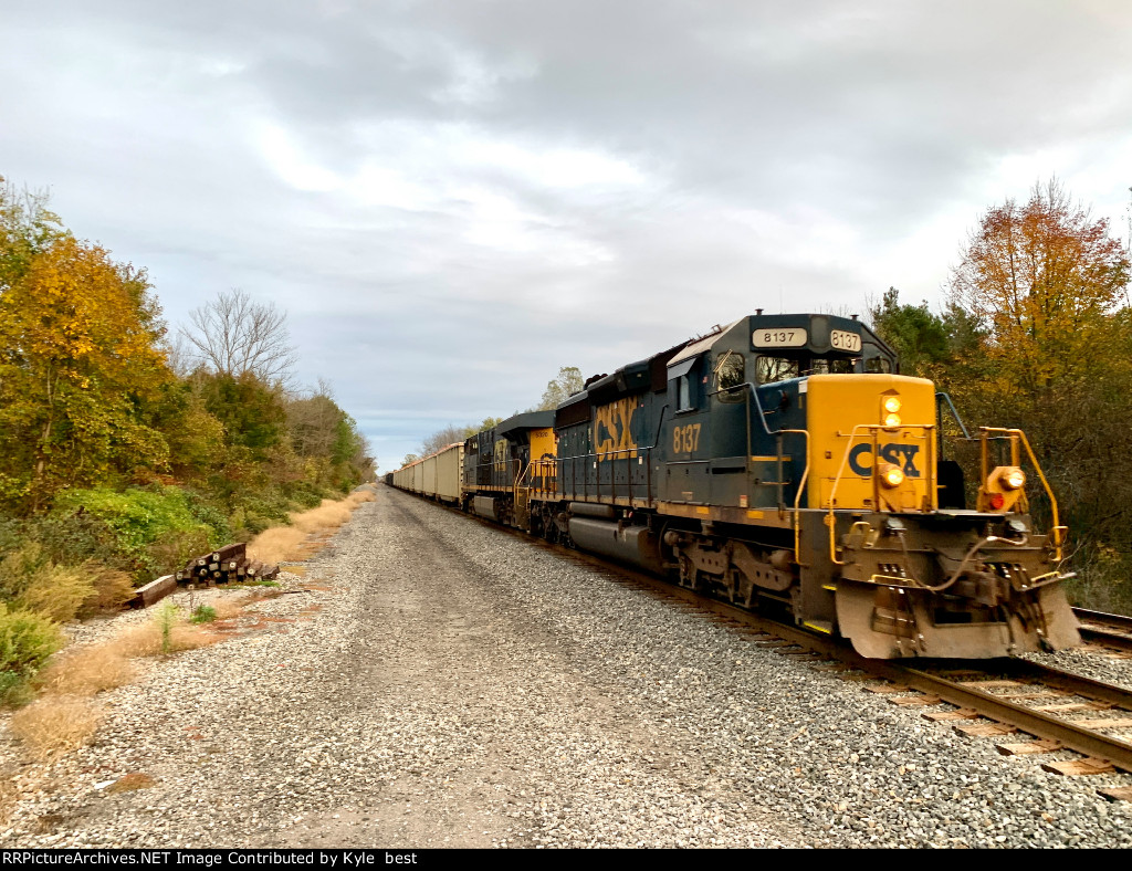 CSX 8137 on Q561